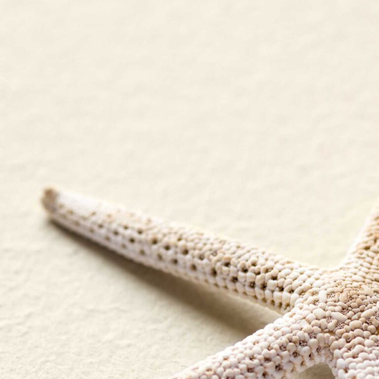 ConlutoCOLORE ARGILLA | Nordtex Edilizia | Prodotti naturali